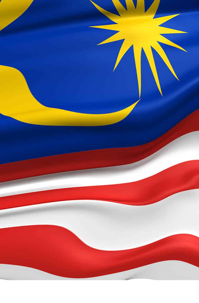 English Malay Translation Service Protranslate