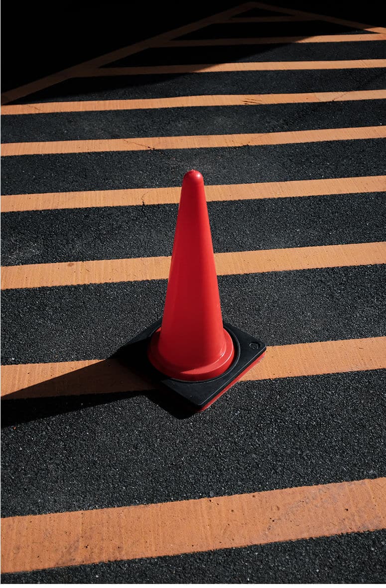 Drivers License Translation - Protranslate.Net