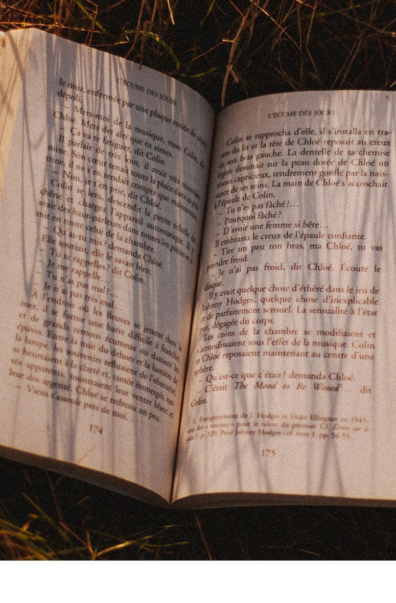 English - French Translation Service – Protranslate