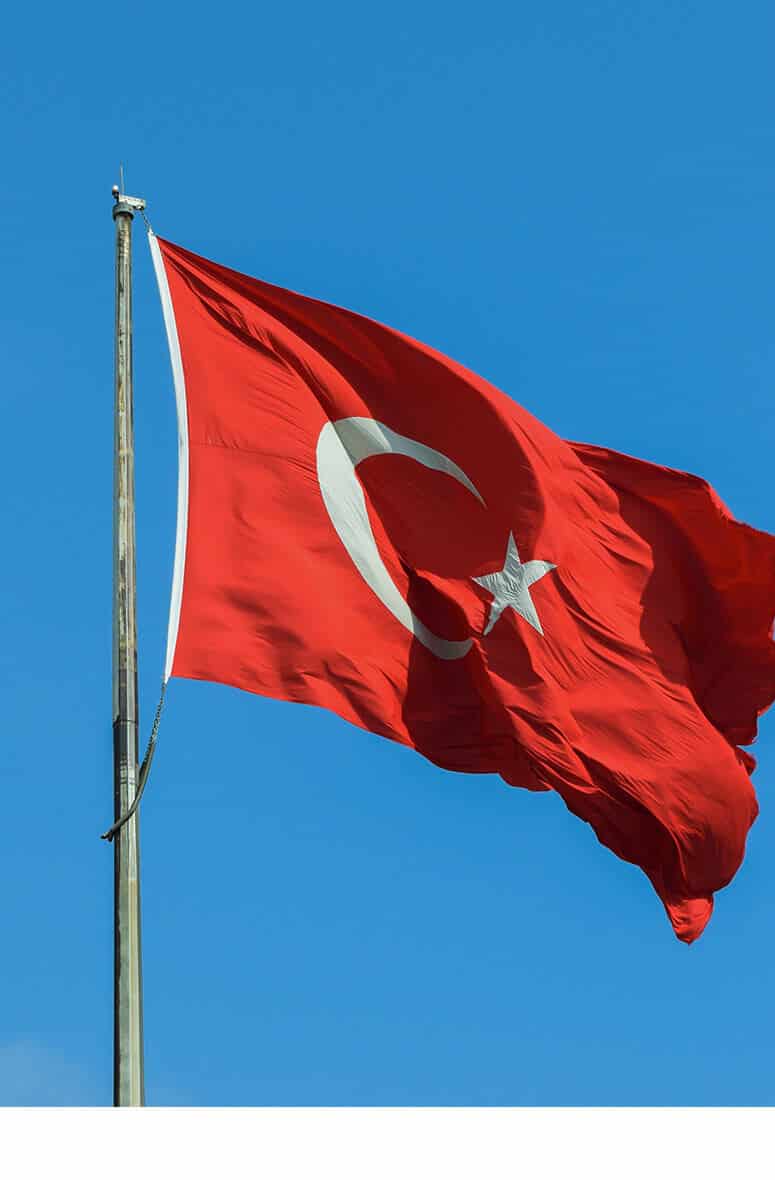 Turkish Translation Service - Protranslate Turkish Translation Service - Protranslate
