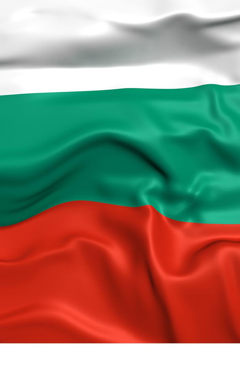 English - Bulgarian Translation Service - Protranslate