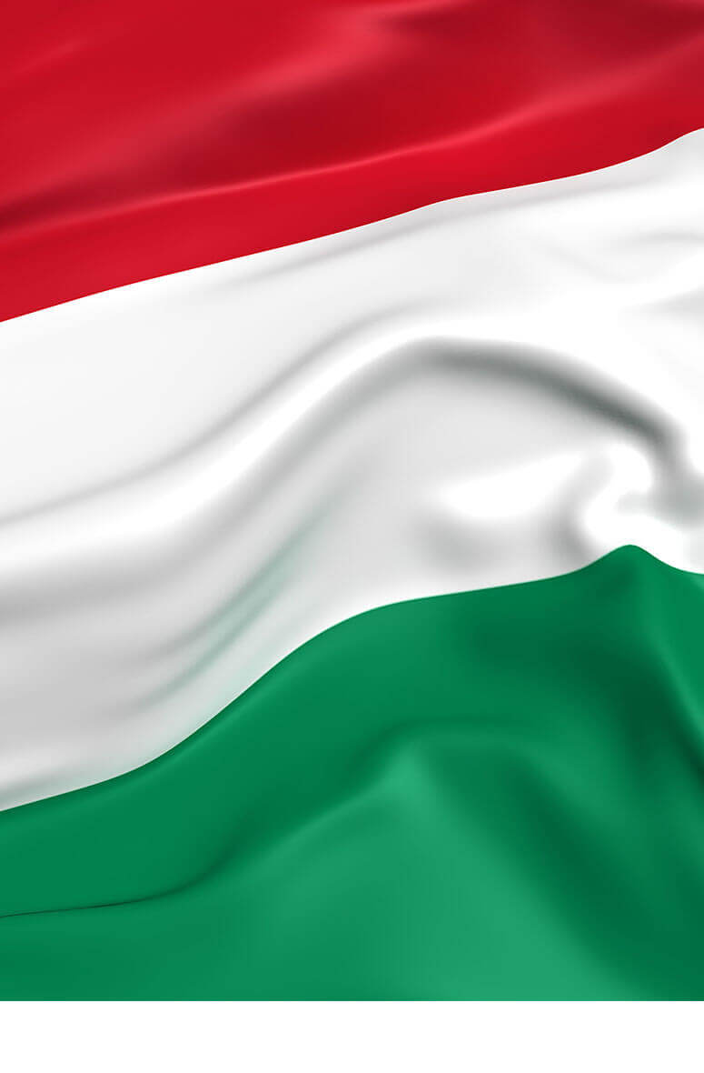 Türkçe Macarca Tercüme - Çeviri Hizmeti - Protranslate